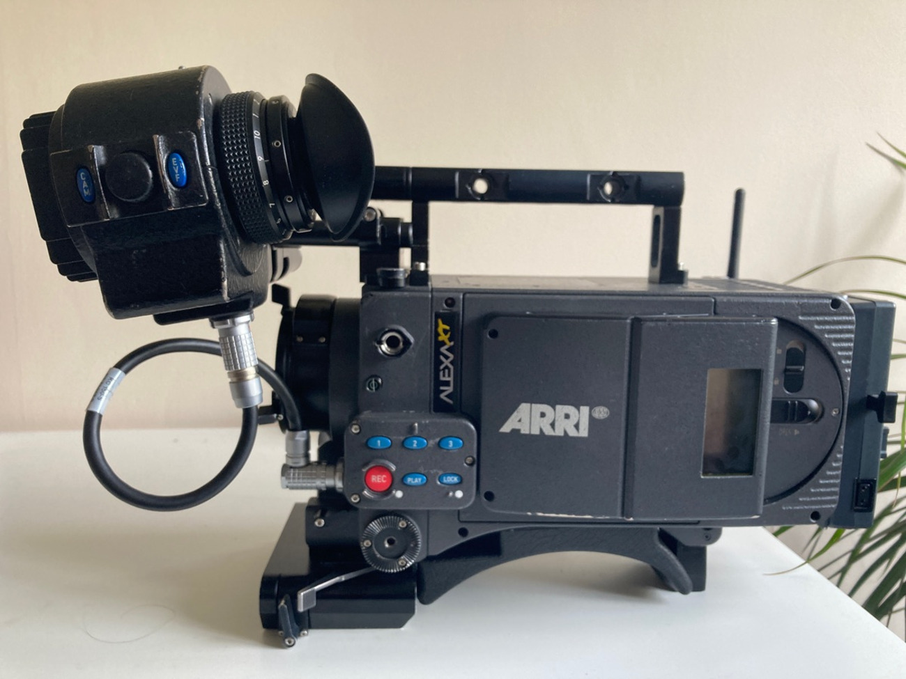 Rent Arri Alexa XT Body and Codex Cards from Giulio A, North Walworth ...