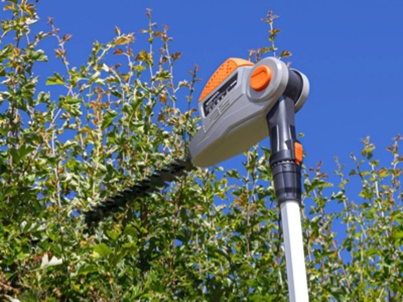 Ferrex cordless telescopic hedge trimmer store