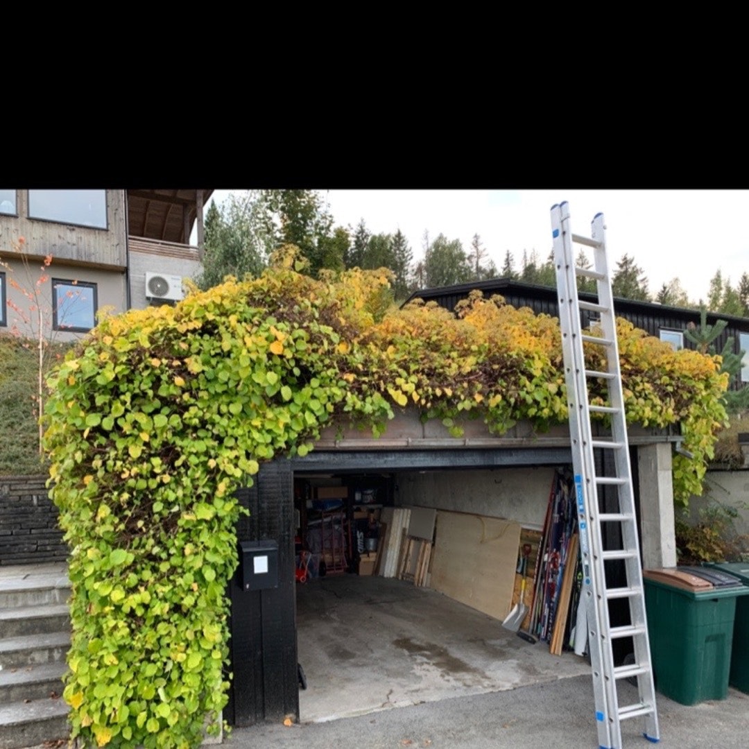 Lei Zarges Z100 stabil og bred stige fra Kai Egil H i Drammen, Buskerud