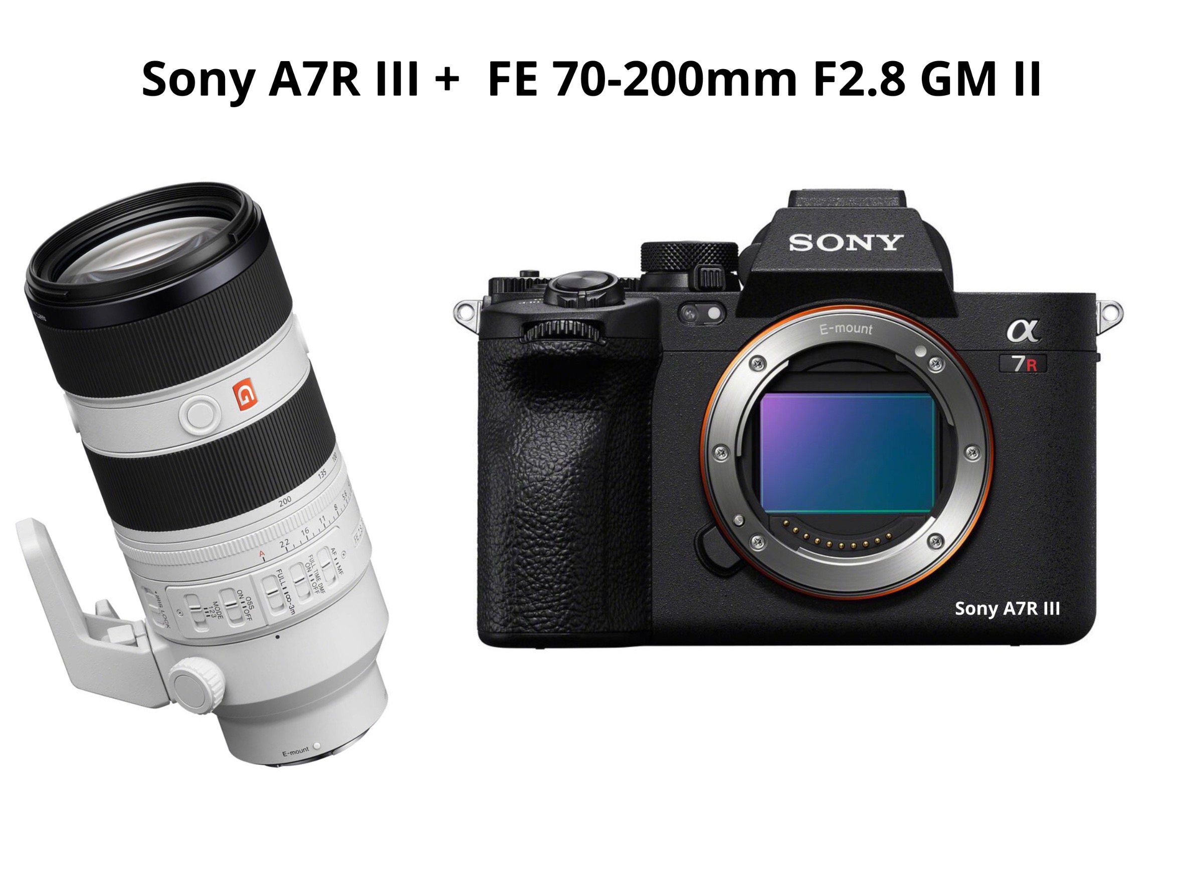 Rent Sony A7R III + FE 70-200mm F2.8 GM II from Denise D, Heaton ...