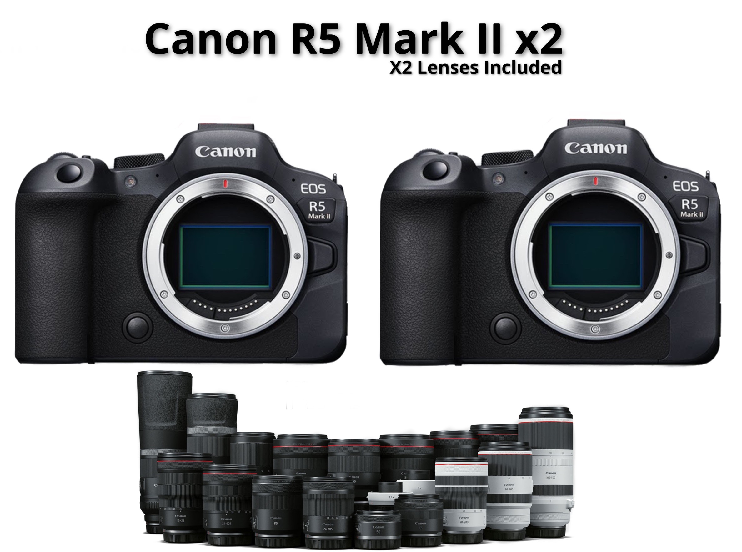 Rent Canon R5 Mark II + x2 Lenses ( Canon R5MII ) from Denise D, Ham ...