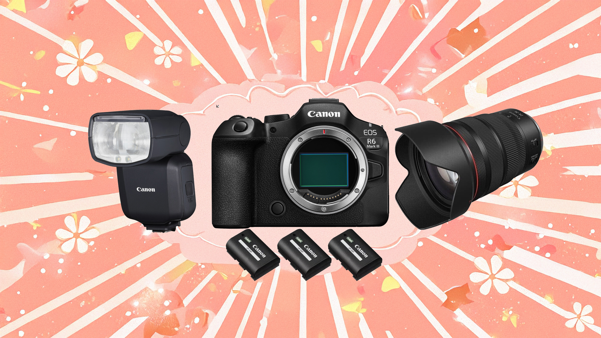 Rent Canon R6 Mark III+ RF 24-70mm f2.8 + Canon Speedlite EL-10 Flash ...