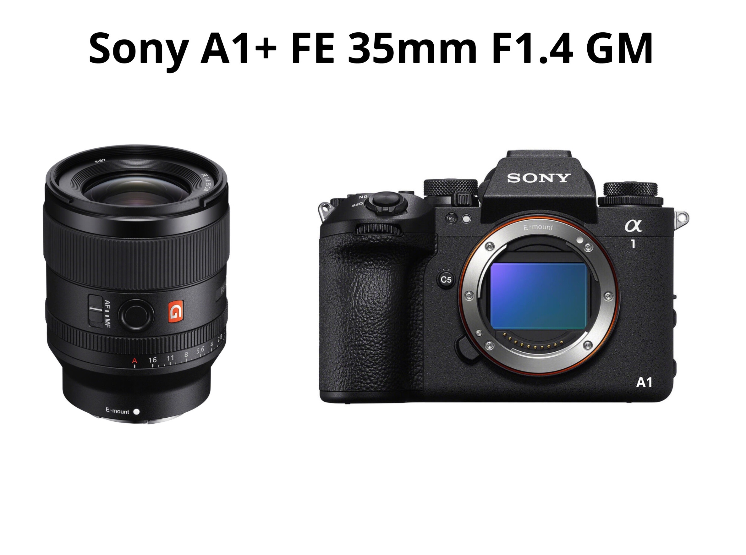 Rent Sony A1 + FE 35mm F1.4 GM from Denise D, Ham, Petersham & Richmond ...