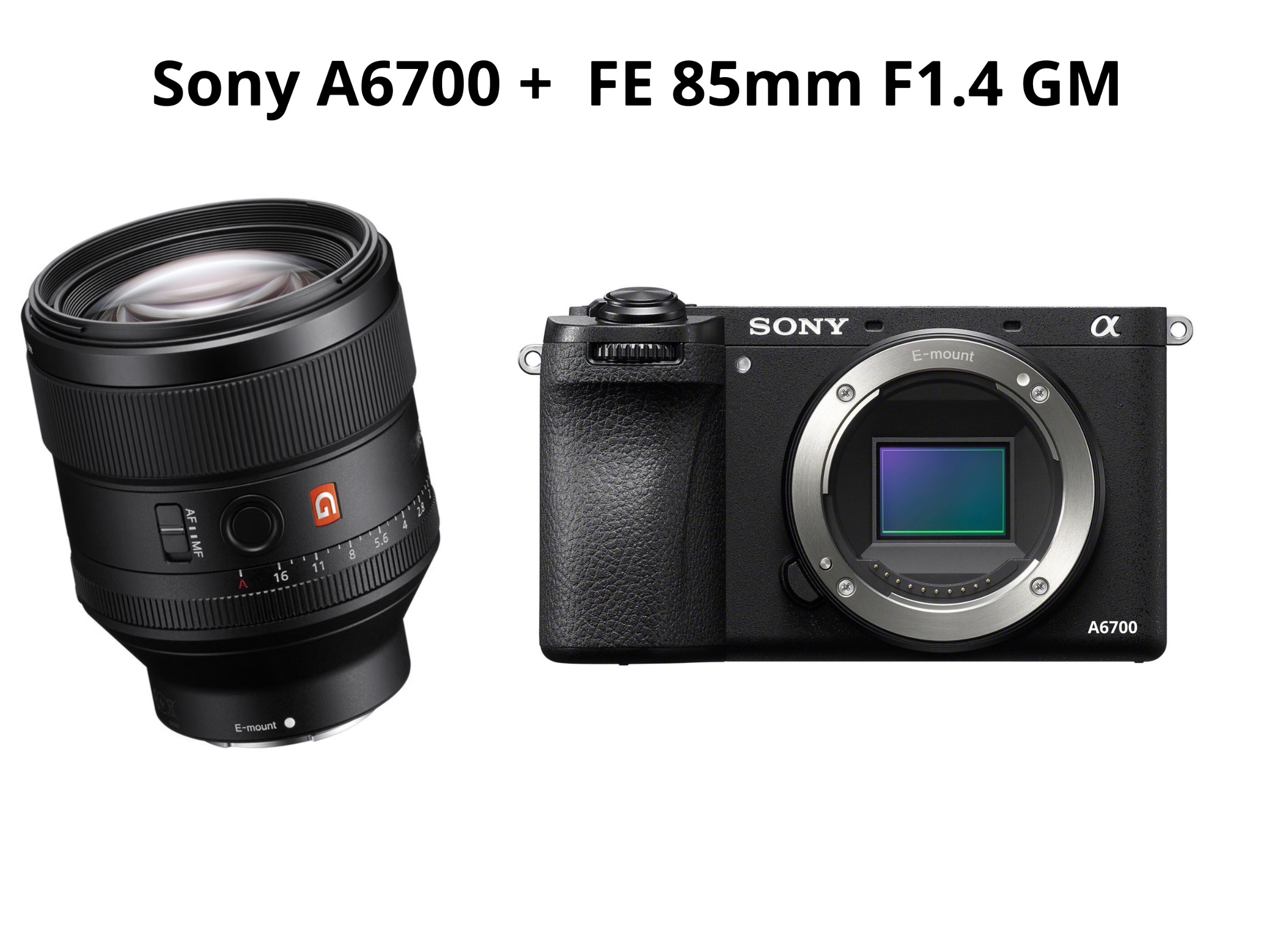 Rent Sony A6700 + FE 85mm F1.4 GM from Denise D, Ham, Petersham ...