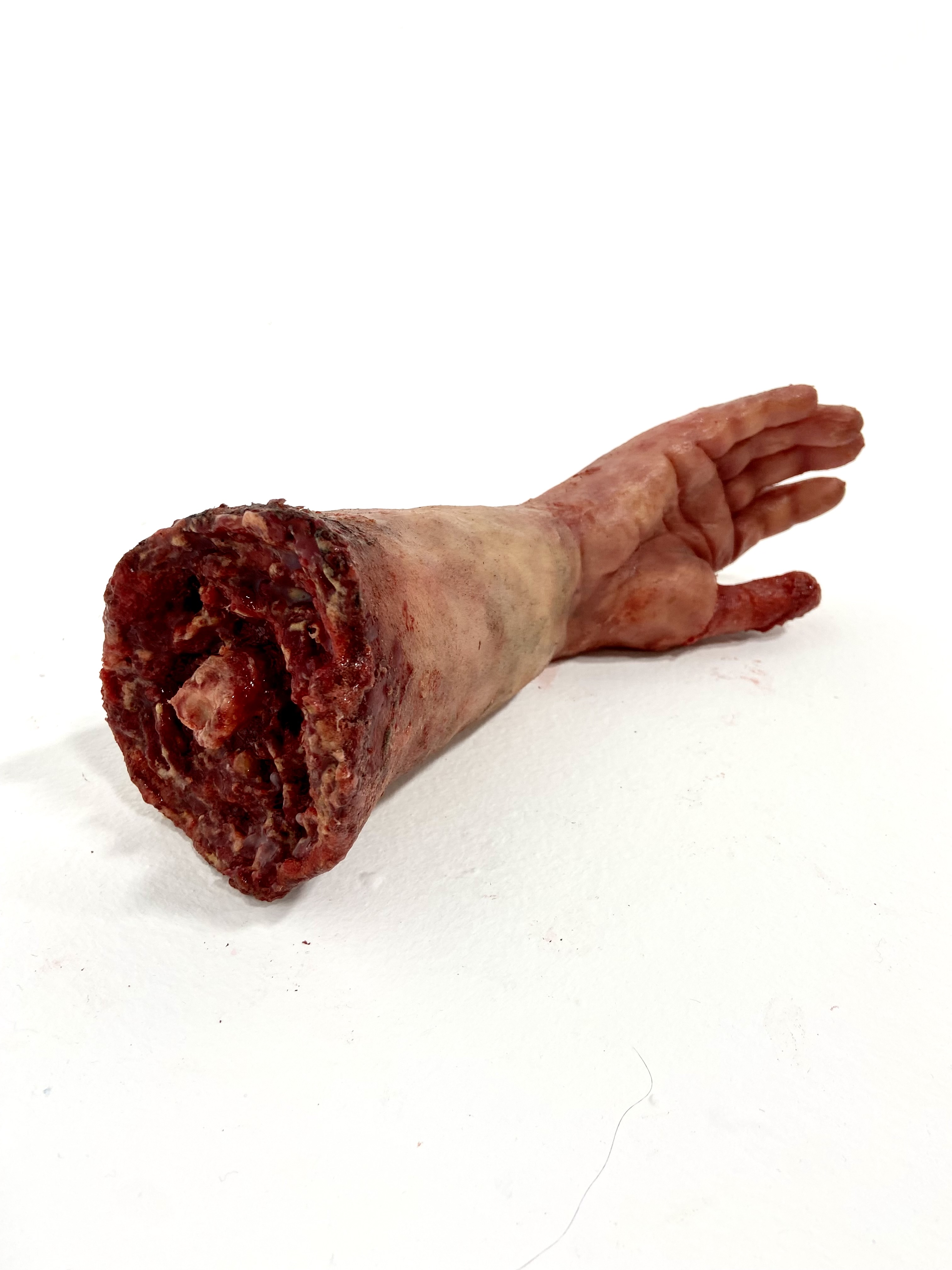 Rent Realistic Silicone Severed Hand / Arm Movie Prop from Rebecca W ...